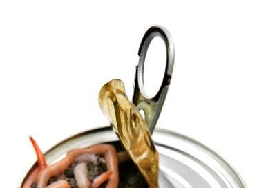 Chris Trotter | Substack