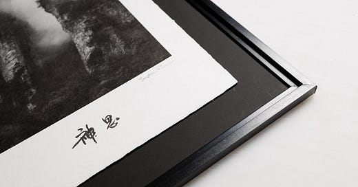 Paper Arts Collective Newsletter | Substack