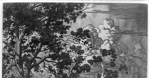 Our Uncertain Future | Johanna DeBiase | Substack