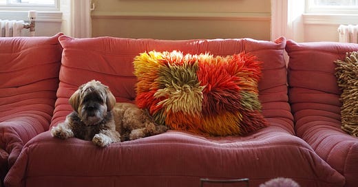 Joie De Vivre | Lisa Dawson | Substack