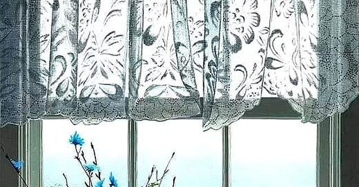 Susan Cain on Substack: "Can you help me with my book proposal? https://open.substack.com/pub ...