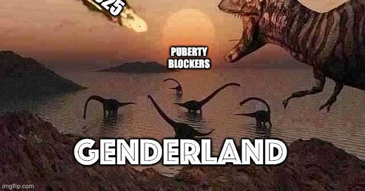 Inspecting Gender | Substack