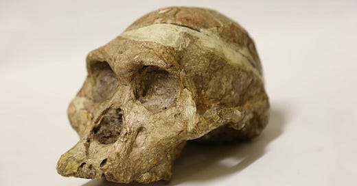 John Hawks | Substack