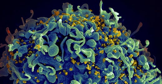 LIL Science | LIL_Science | Substack