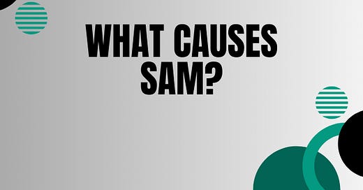 The Echo Journal | Aram K. | Substack