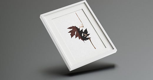 Starhan Garden | Substack