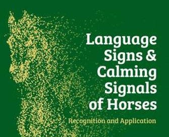 Curious Equestrian | Substack