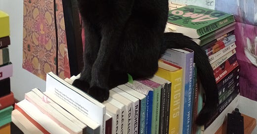 jaguatirica de coleira | Camila von Holdefer | Substack