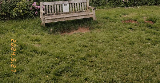 finding quiet | candice | Substack