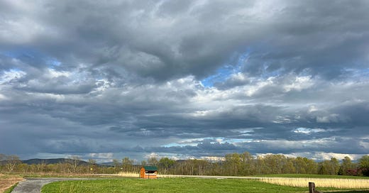 House of Green | Alexandra Fasulo | Substack