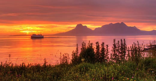 Vibrant Life | Jennifer Margulis | Substack