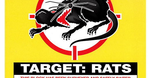 This Week in Birding | Bob Dolgan | Substack