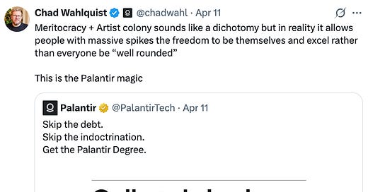 Palantir Bullets | Arny Trezzi | Substack