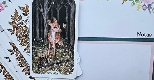 The Moon Shed | Claire Amritavani Brown | Substack