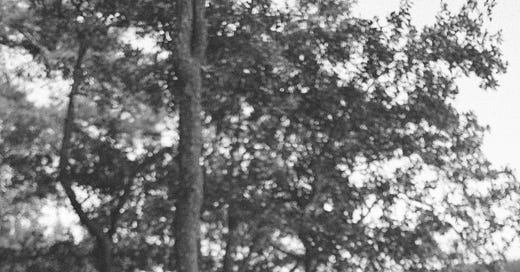 Witchy Kid | Ocean Pleasant | Substack