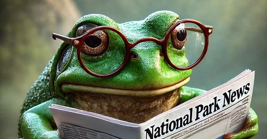 More Than Just Parks | Substack