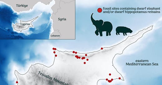Paleolithic Humans Caused Extinction of Dwarf Hippos and Elephants on ...