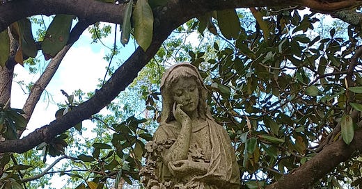 Sarah Kendzior’s Newsletter | Substack