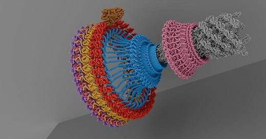 Maximum Progress | Maxwell Tabarrok | Substack