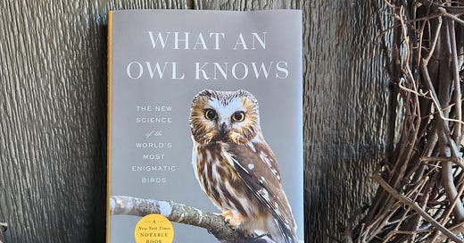 Drawing the Natural World | Val Webb | Substack