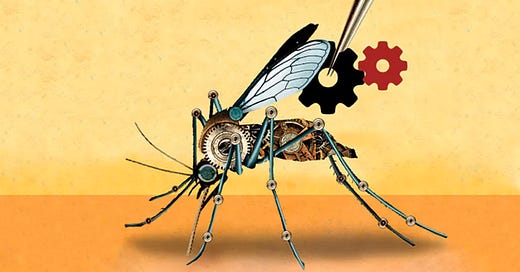 Maximum Progress | Maxwell Tabarrok | Substack