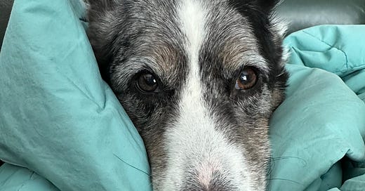 GRETAGRAM | greta johnsen | Substack