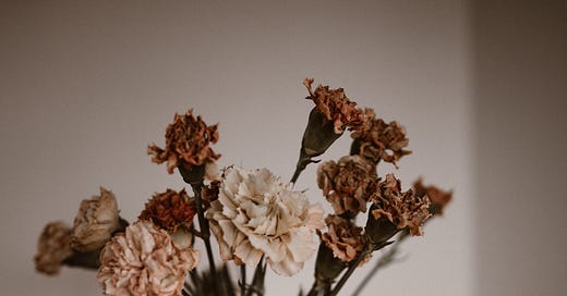 COFFEE + CRUMBS | Substack