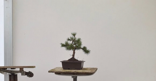 MOON LISTS | The Moon Lists | Substack