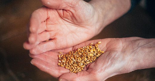 Chef Sam Black | Sam Cooper | Substack