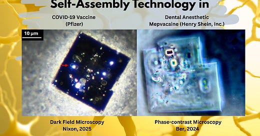 Homo Interruptis, with Len Ber MD | Substack
