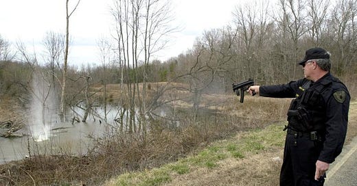 North Carolina Rabbit Hole | Jeremy Markovich | Substack