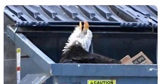 American Values Coalition | Substack