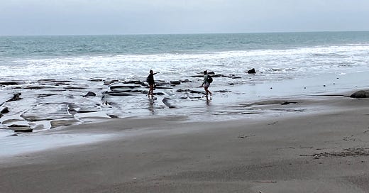 all over the place | Luisa | Substack