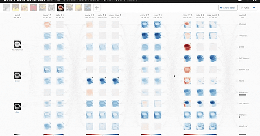 CNN Explainer: An Interactive Tool to Understand CNNs