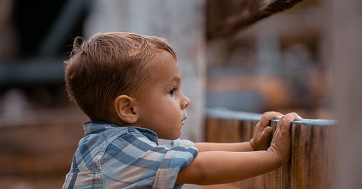 Shane J. Wood: Letters from the Desert | Substack