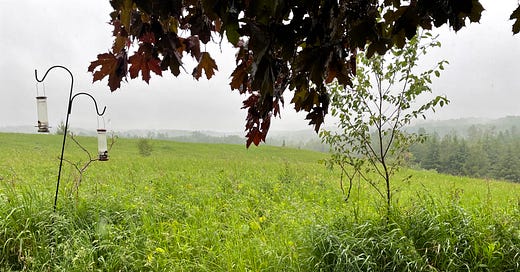 The Deliberate Practice | Jeremy Barr | Substack