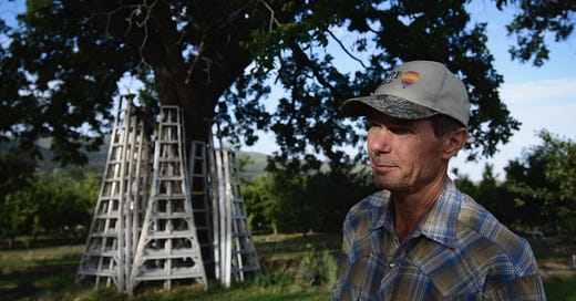 Cloudcroft Reader | Chris Hearne | Substack