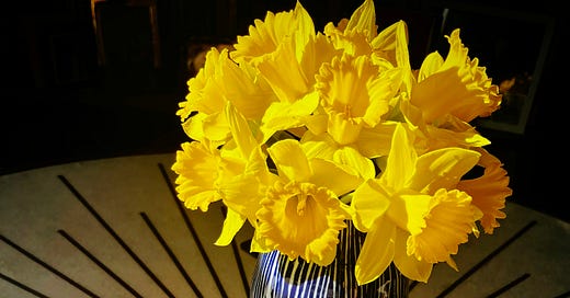 Discursions | M. L. Rio | Substack