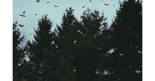 Literary Bruja - A weekly column | Juliet Diaz | Substack