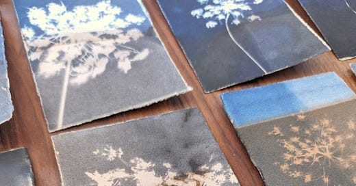 002 - Things I’ve learned with cyanotypes - by Stephanie