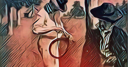 The Virago Channel | Heather Martel | Substack