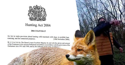 Protect the Wild | Substack