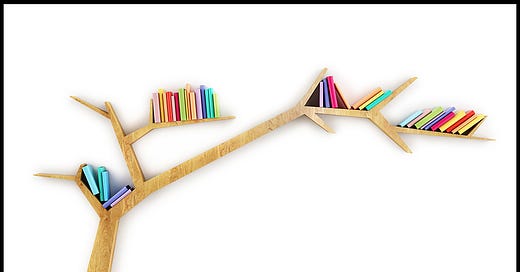 Writerly Things with Brooke Warner | Substack