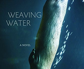 The Seaboard Review | Substack