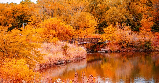 Short Story | Substack