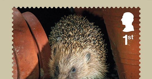 Hugh’s Substack | Hugh Warwick | Substack