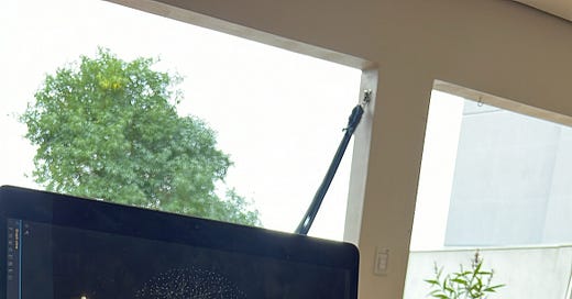 Bage News | Bagetti | Substack