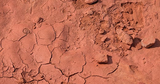 The Locus Esse | Sergii Starodubtsev | Substack