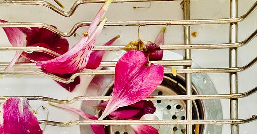 Creatively Conscious by Claire Venus | Claire Venus (she/her) | Substack