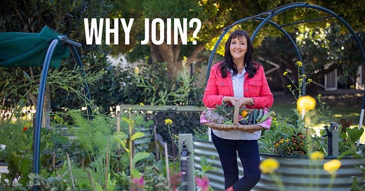 Healthy Food Gardening Made Easy | The Micro Gardener | Substack